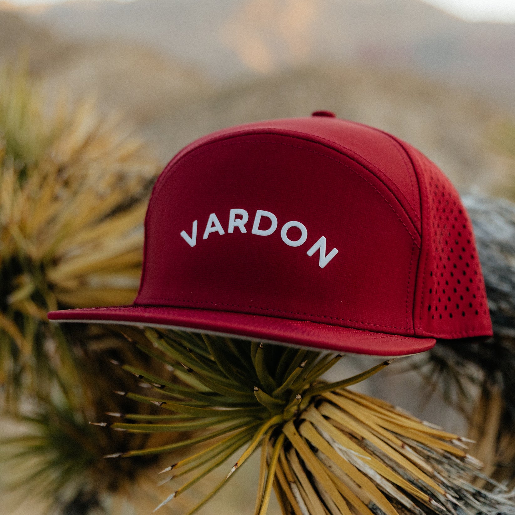Welcome to Vardon